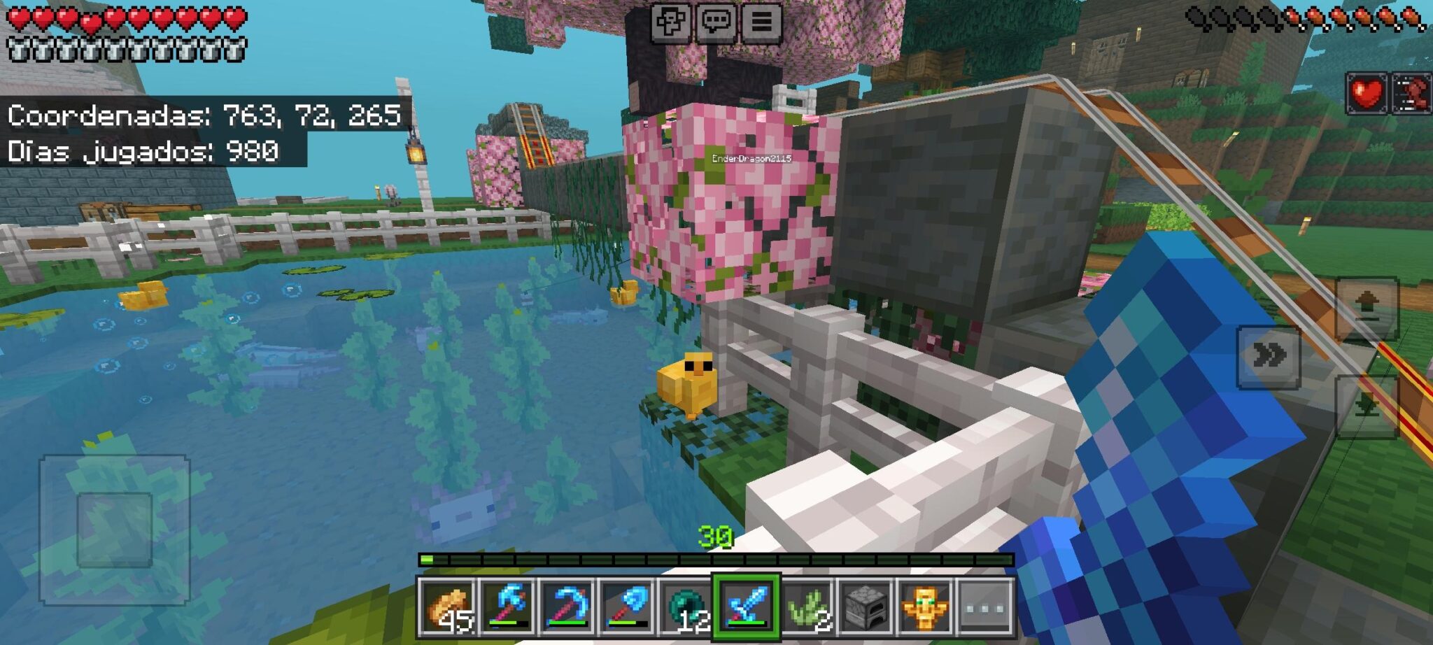 Actions And Stuff Minecraft Bedrock